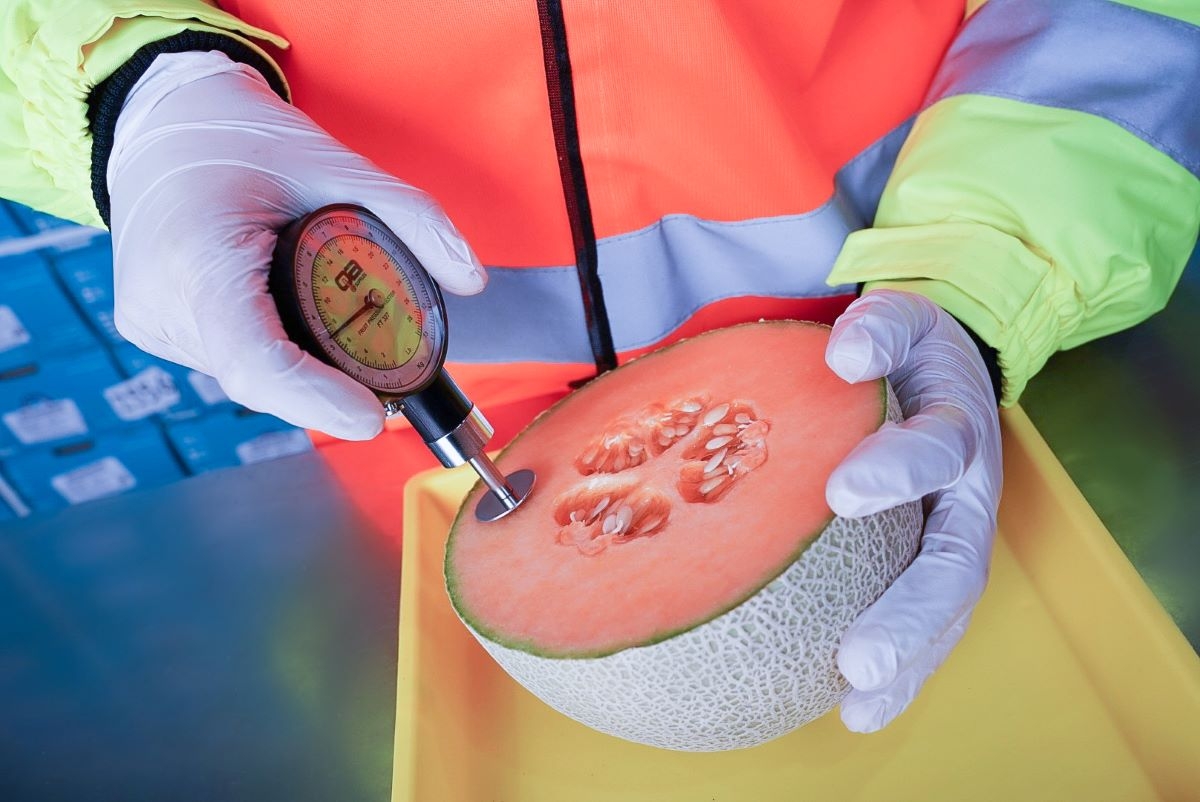 Introducing QIMA IBD